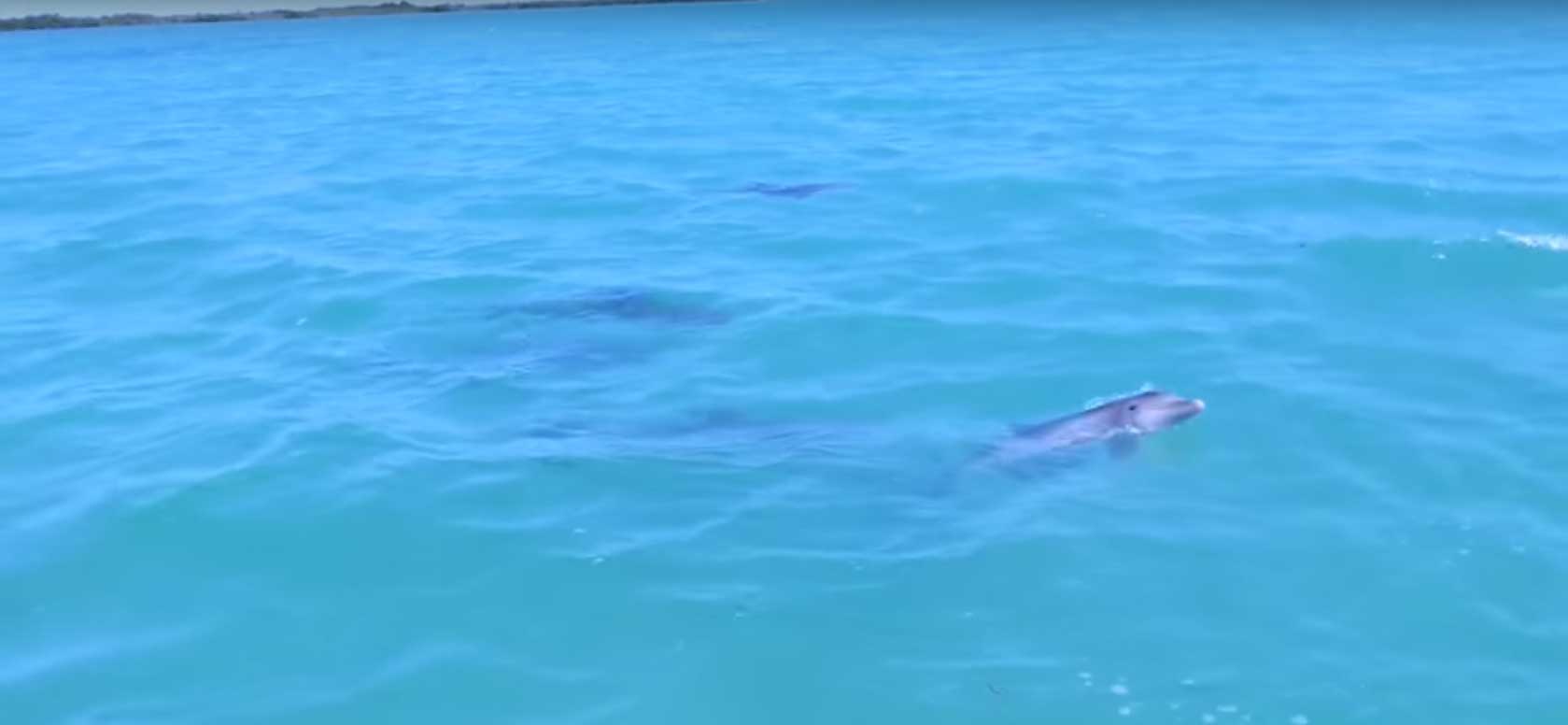 Best Maya Tours private custom tours Yucatan Peninsula and Riviera Maya